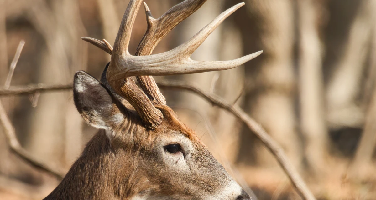 Book-to-Screen Adaptations Coming in 2024 – Libreria Mundilibros